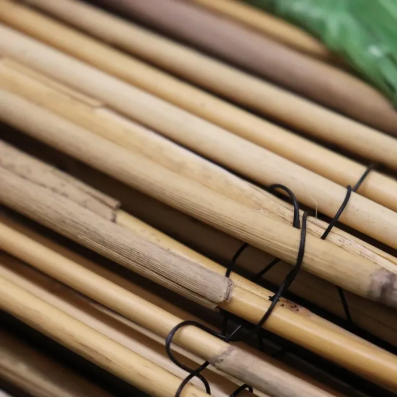 Gardera Kingfisher Trstinový plot, zástena, 1 x 3 m | BIANO