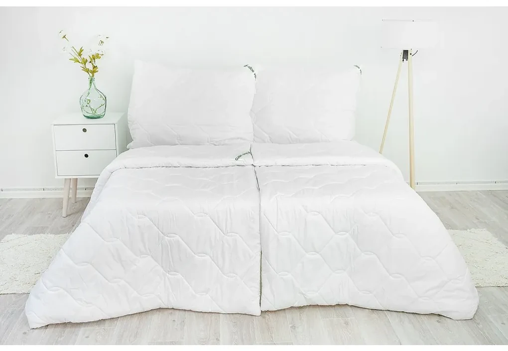 Luxusný celoročný paplón Aloe vera 200x200 cm | BIANO