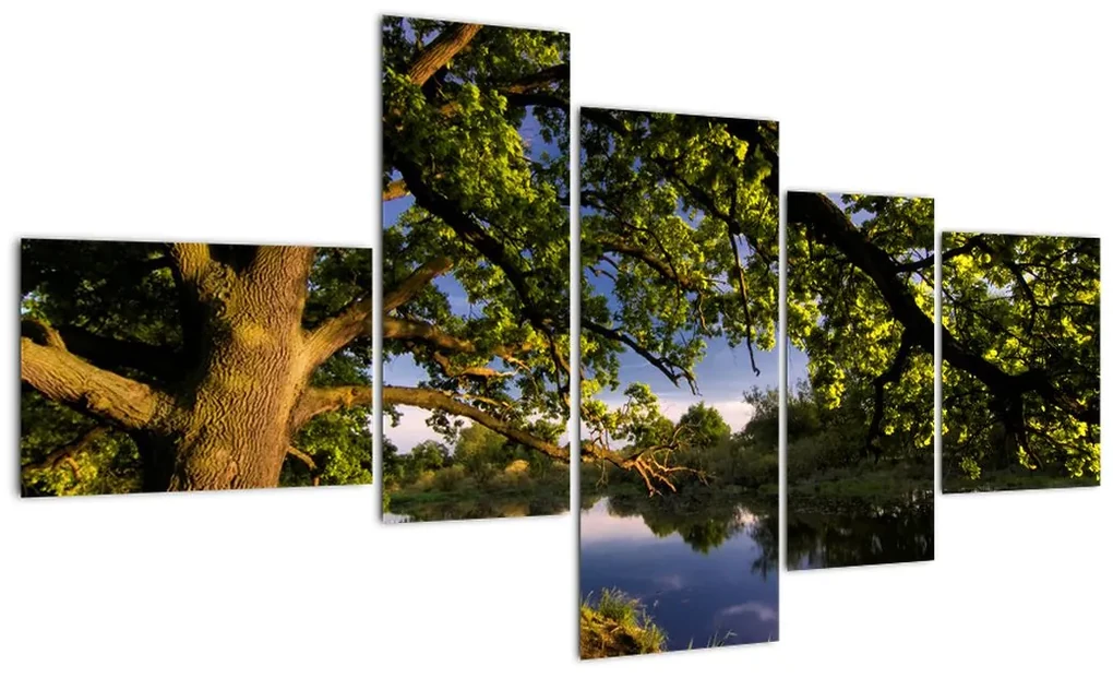 Obrázok stromu - moderné obrazy | BIANO