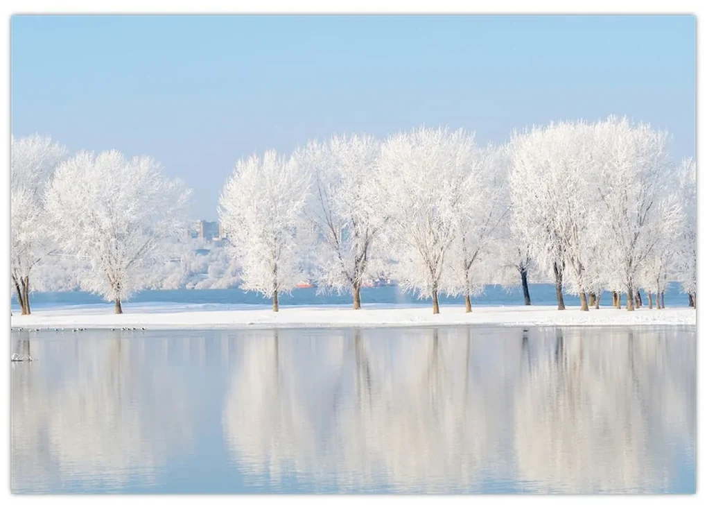 Obraz - zimná príroda | BIANO