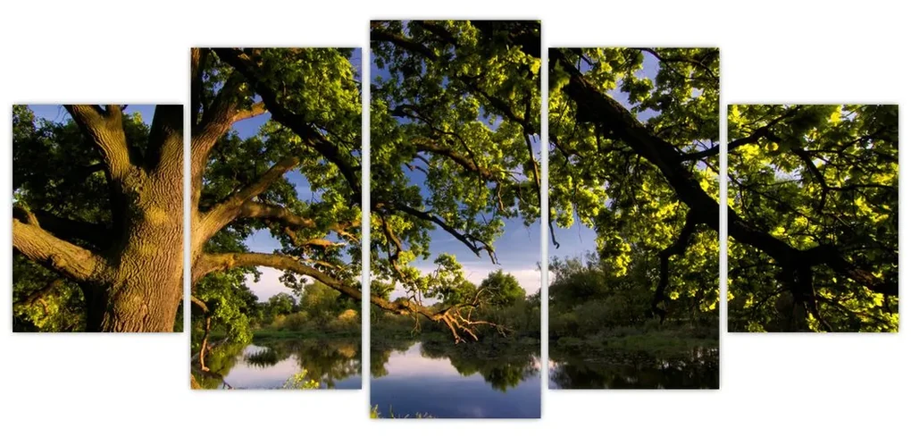 Obrázok stromu - moderné obrazy | BIANO