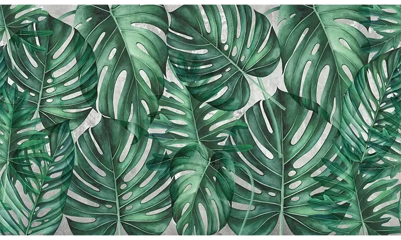 VLADILA Green Philodendron - tapeta | BIANO