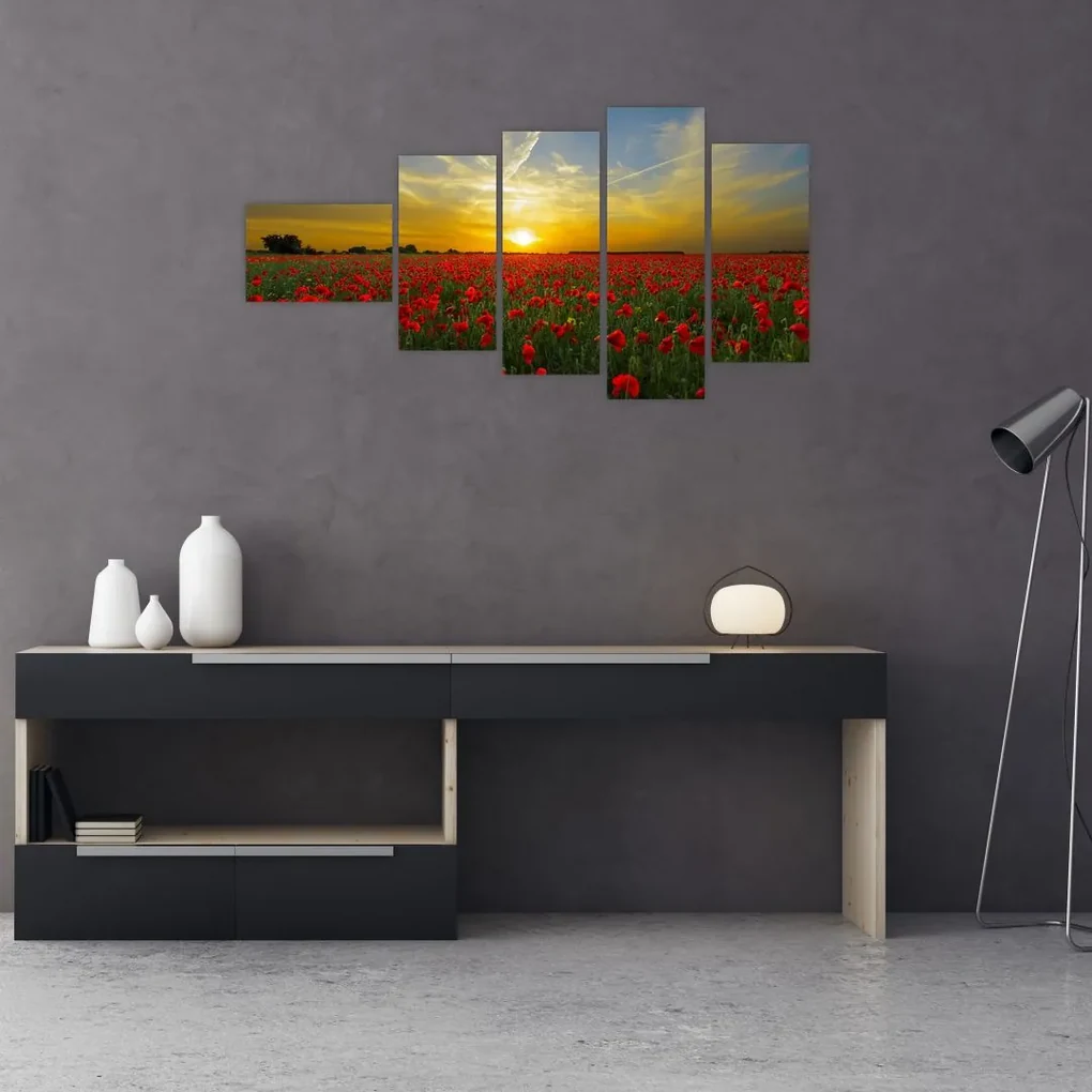 Obraz - pole vlčích makov | BIANO