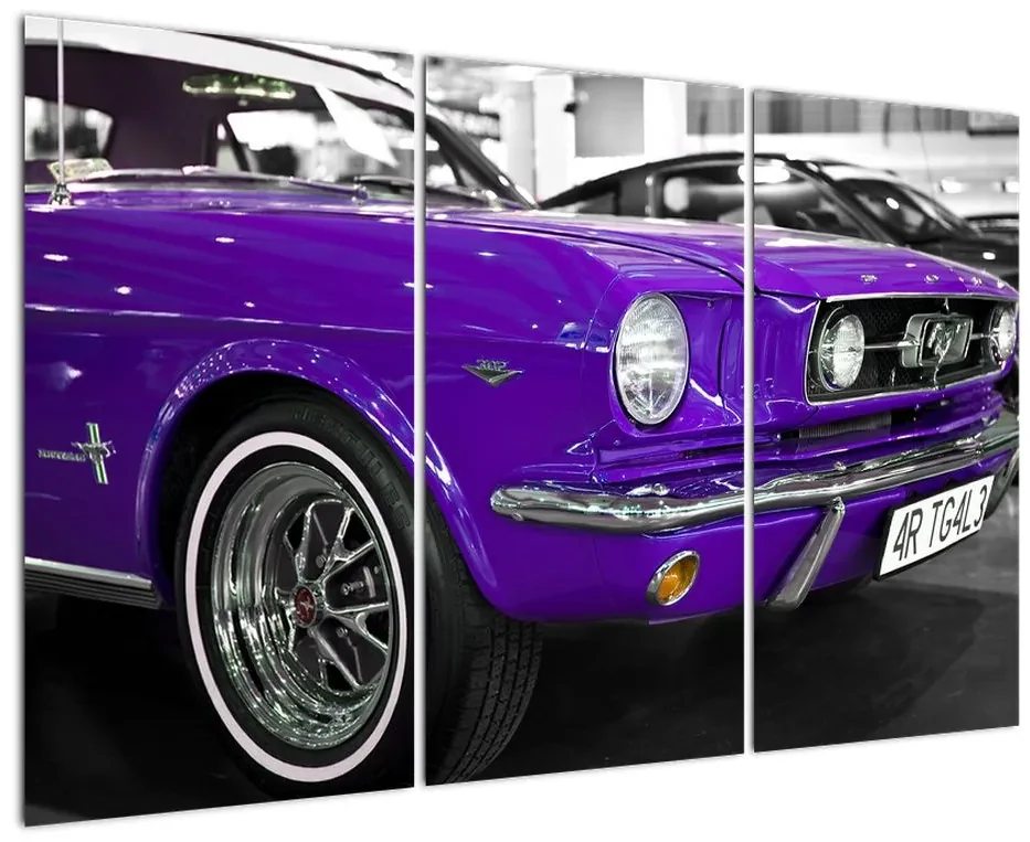 Fialové auto - obraz | BIANO