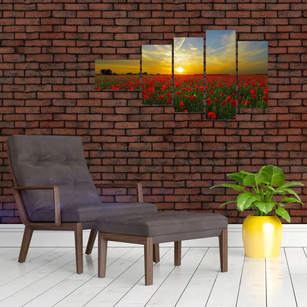 Obraz - pole vlčích makov | BIANO