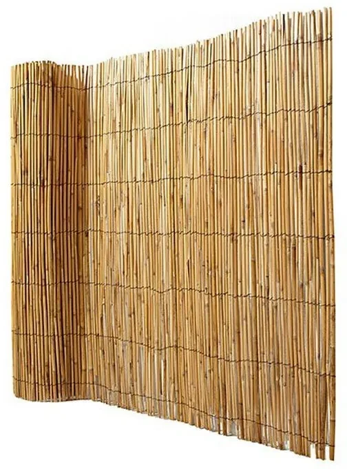 Gardera Kingfisher Trstinový plot, zástena, 1 x 3 m | BIANO