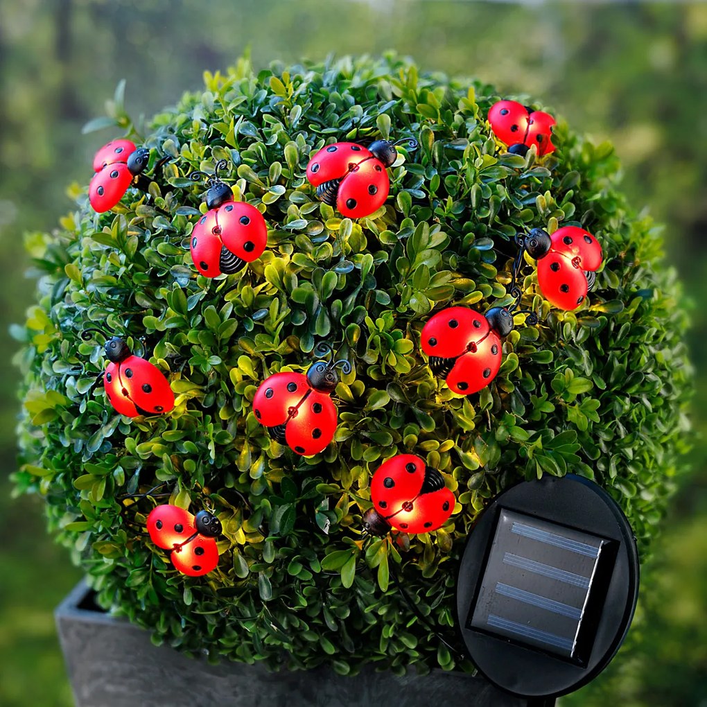 Najlacnejšie vonkajšie dekorácie a výzdoba | BIANO