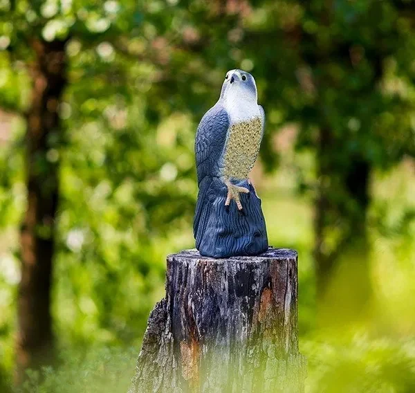 Vekr Plašič vtákov sokol - maketa dravca 40cm | BIANO