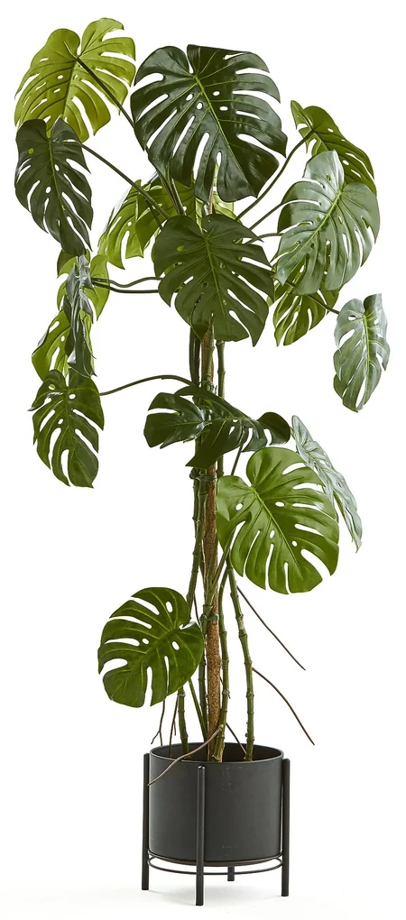 Umelá rastlina: Monstera, 1800 mm, čierny oceľový kvetináč na podstavci ...