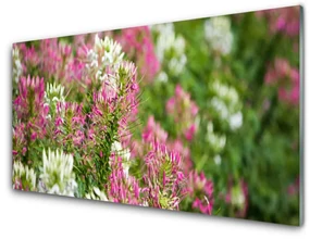 Sklenený obklad Do kuchyne Poľné kvety lúka príroda 140x70 cm | BIANO